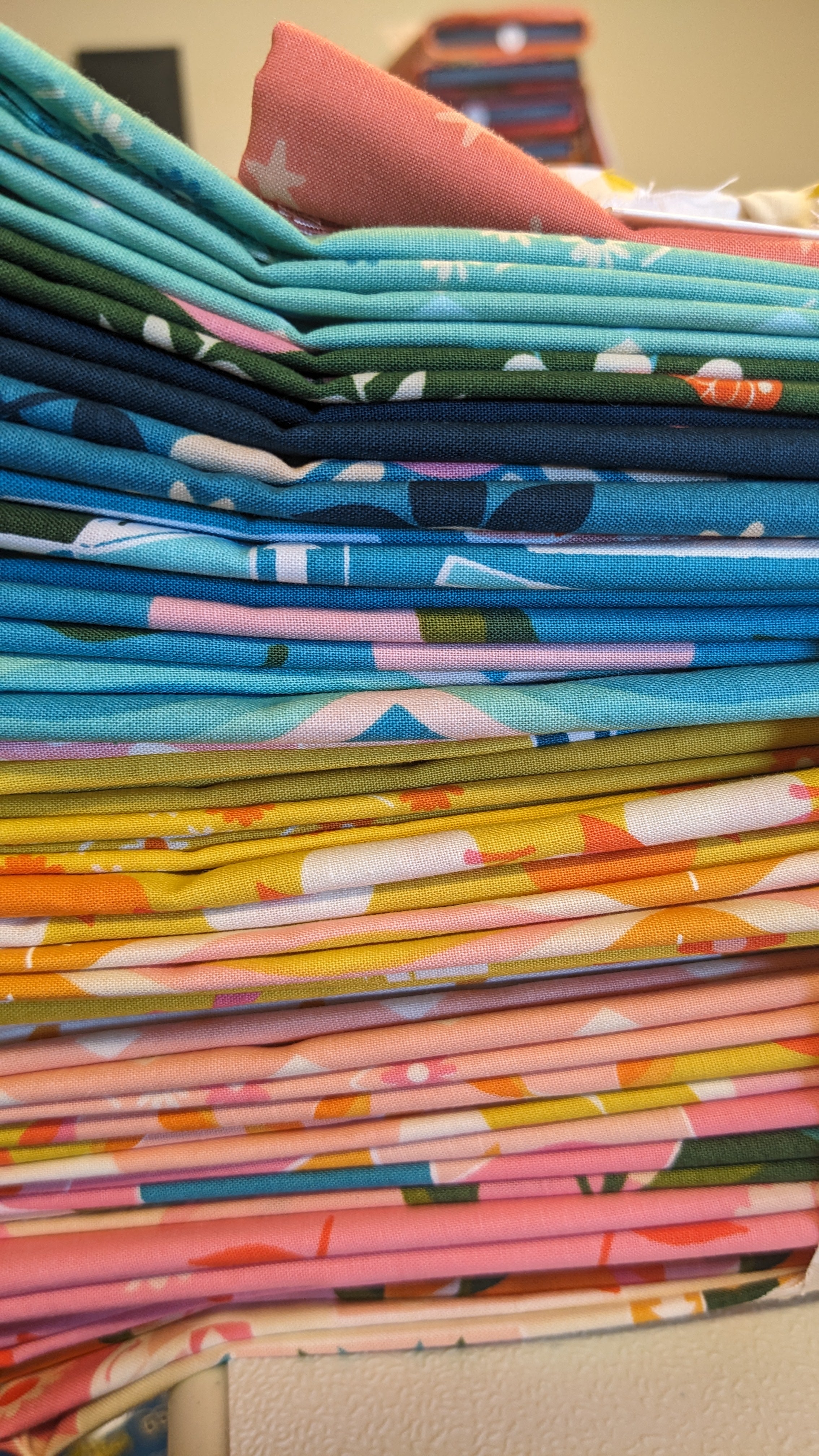 French Fry Quilt Company